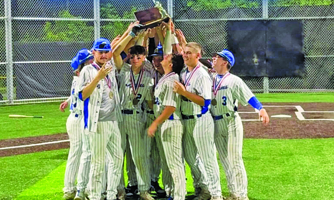 Ranck’s bat, Trojan arms lead to playoff rout | News, Sports, Jobs ...